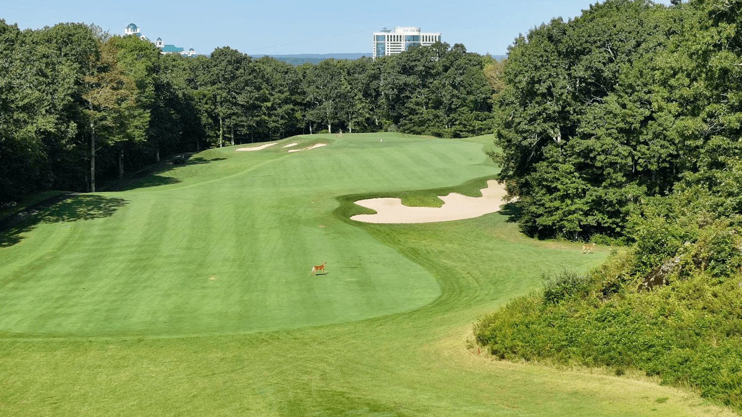 South Course Gallery - Lake of Isles Golf Club and Resort